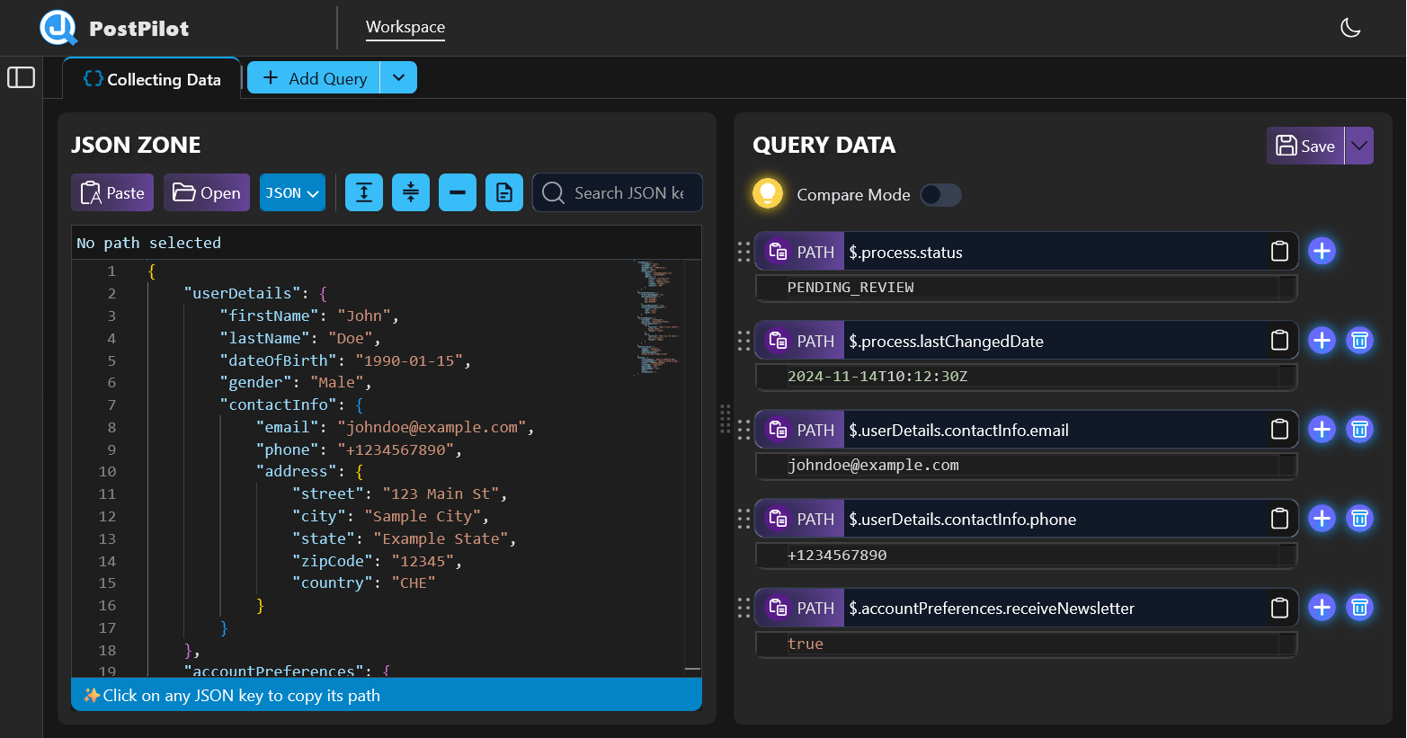 PostPilot - Private Workspace for APIs, Databases, and Data Inspection